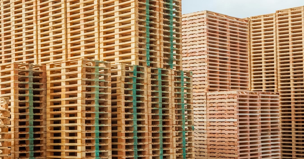 KEMA PAL - Palette Lamballe